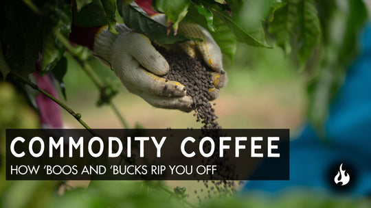 Ember Coffee Co. - Minnesota Coffee Roaster & Coffee Shop