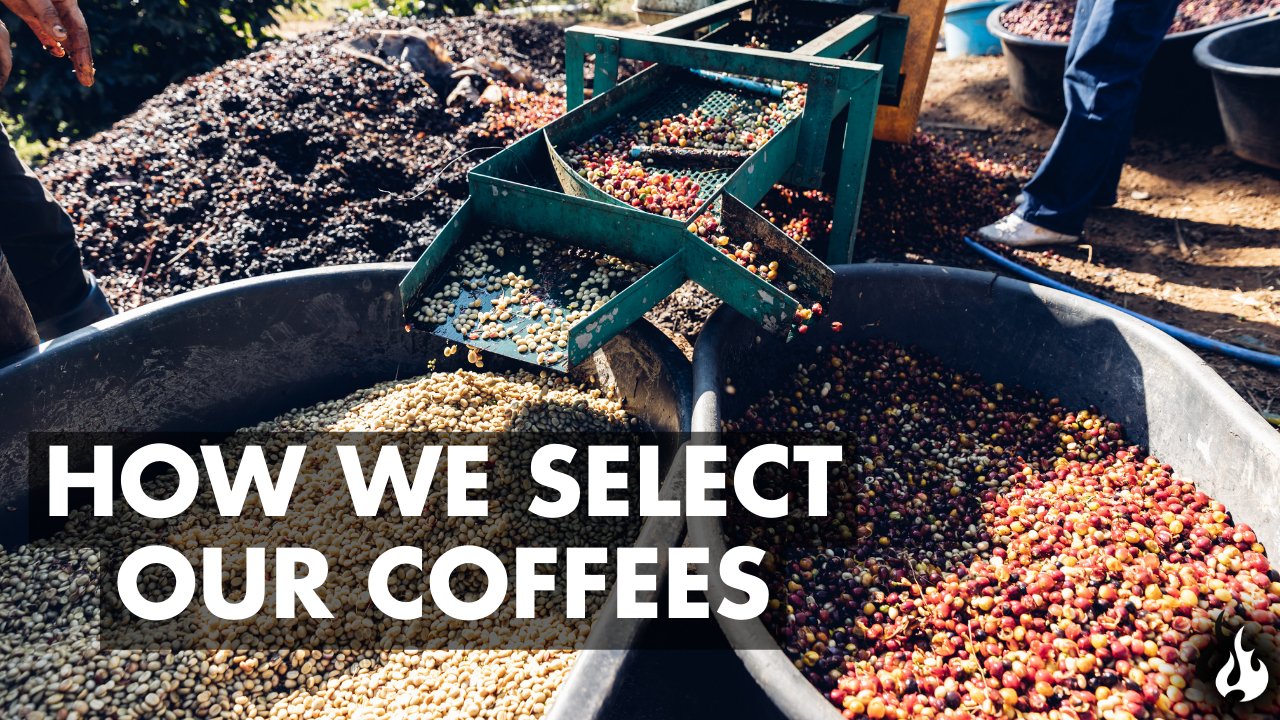 How We Select Our Coffees For Each Roast – Ember Coffee Co.