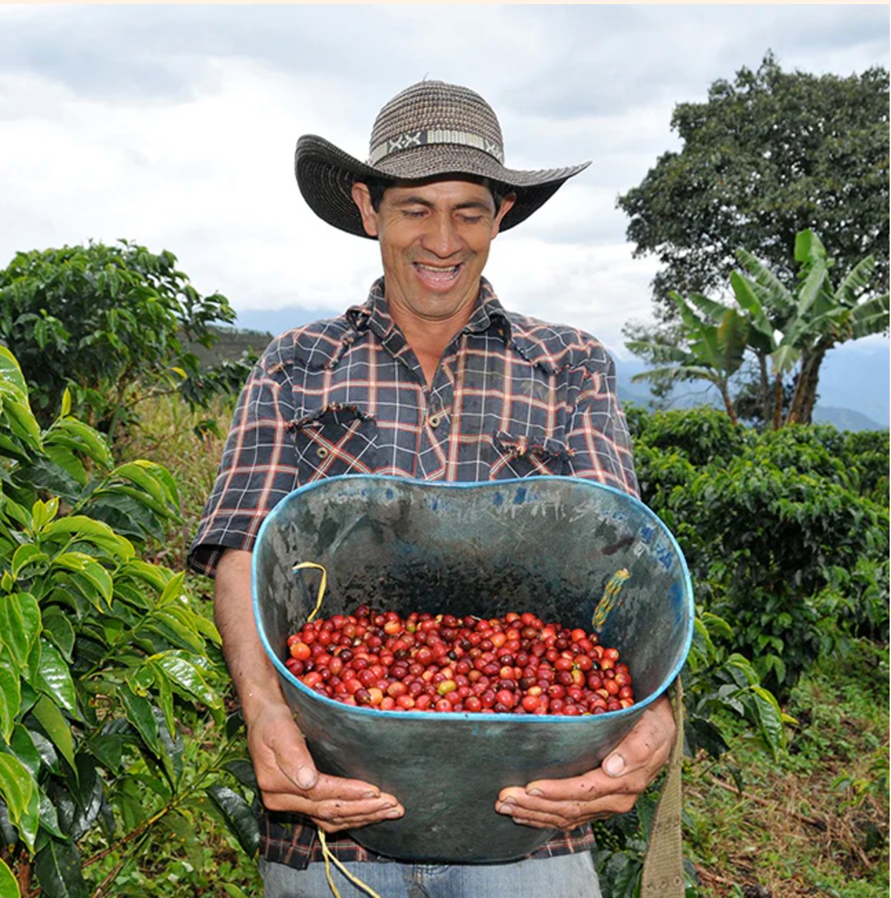 Featured Single Origins | Ember Coffee Co.